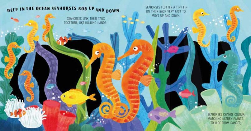 Nature Watch UNDER THE WAVES - Banana Bear Books Design and Illustration
