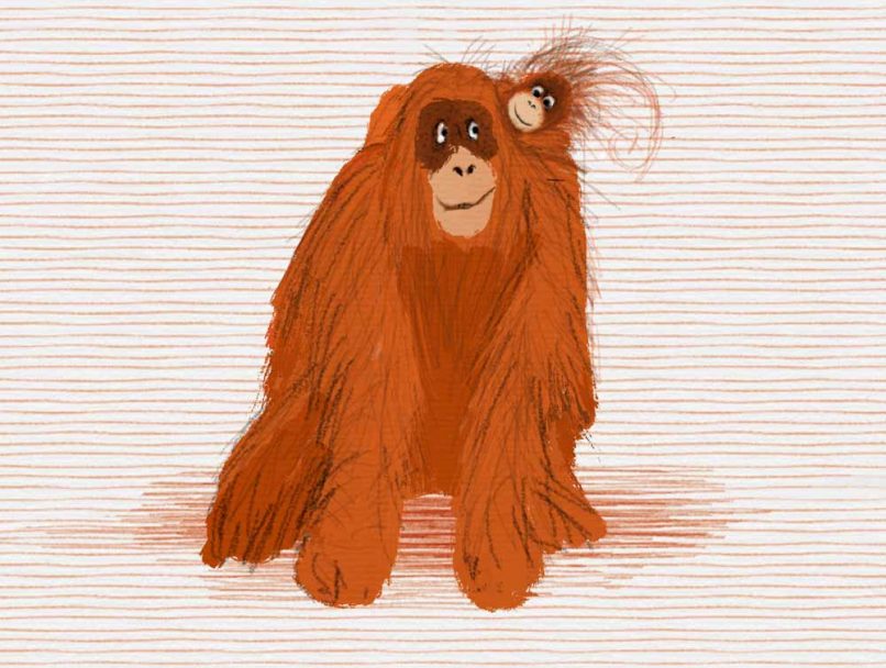 Orangutan mum and baby - Banana Bear Books Design and Illustration